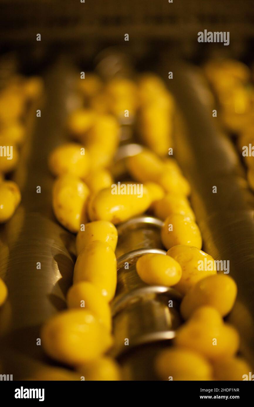 Factory interior. Chips production. Factory equipment, product ...