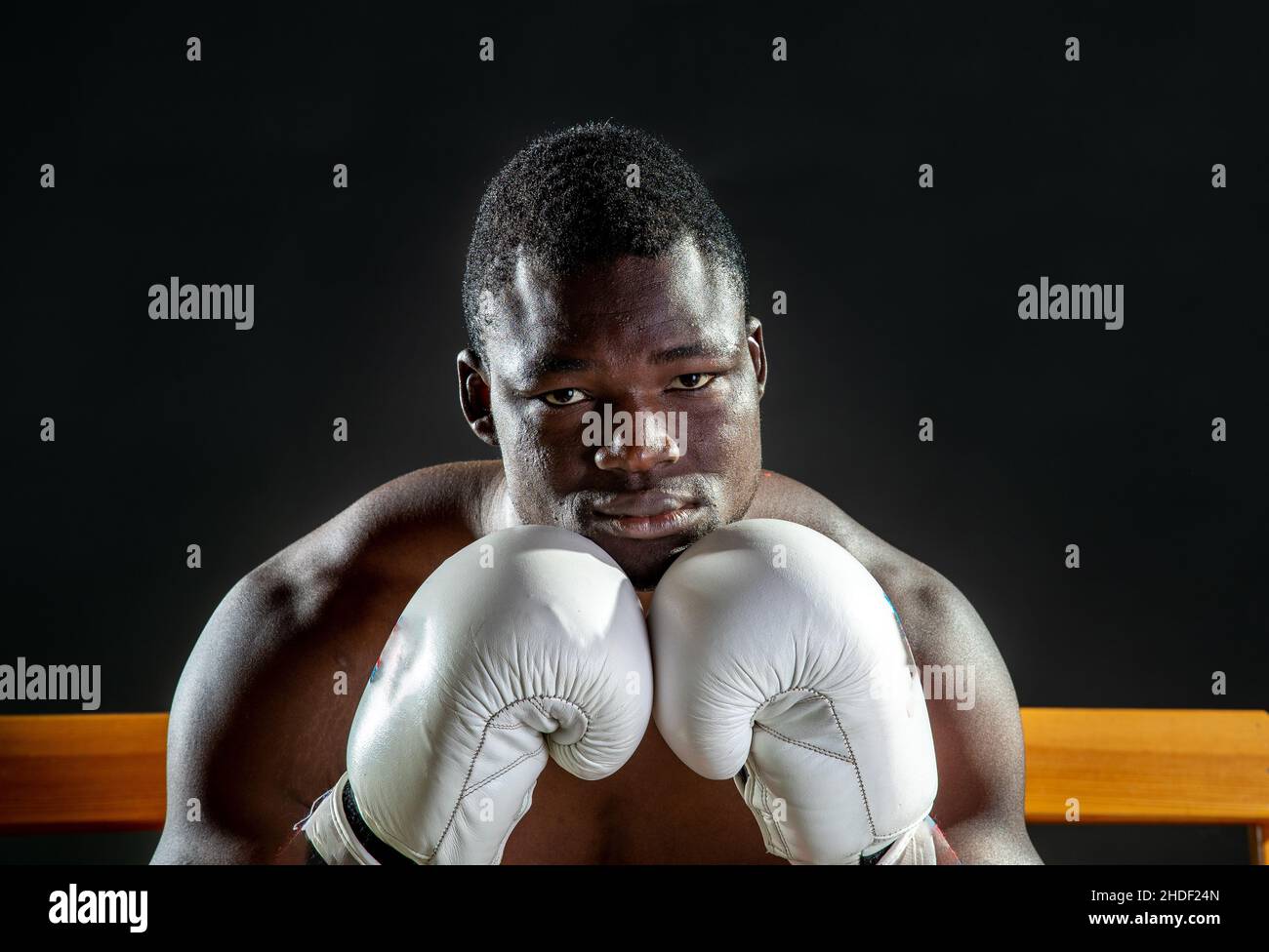 Young black boxer looking at camera Stock Photo - Alamy