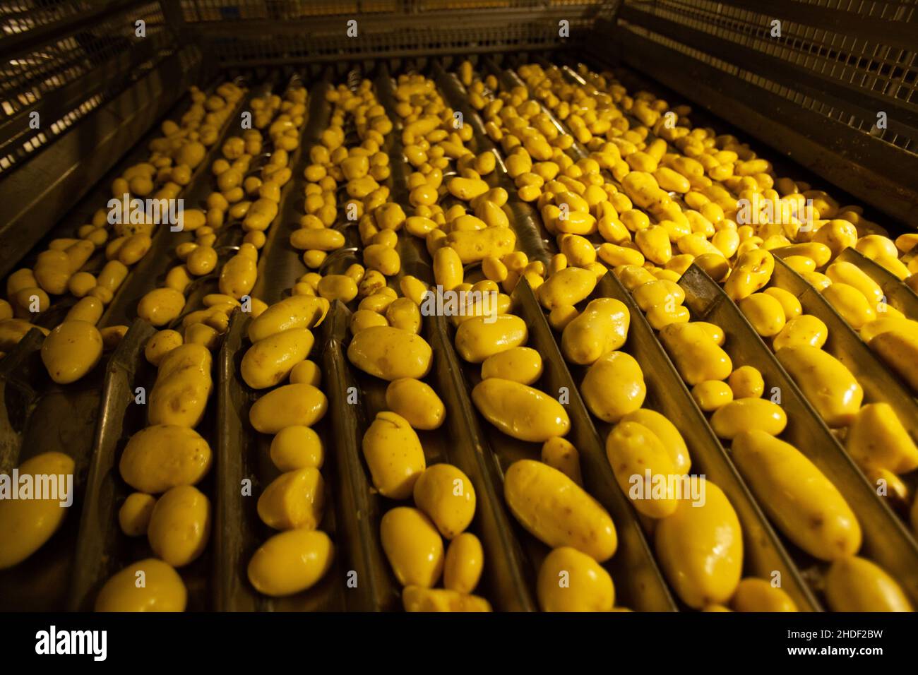 Factory interior. Chips production. Factory equipment, product ...