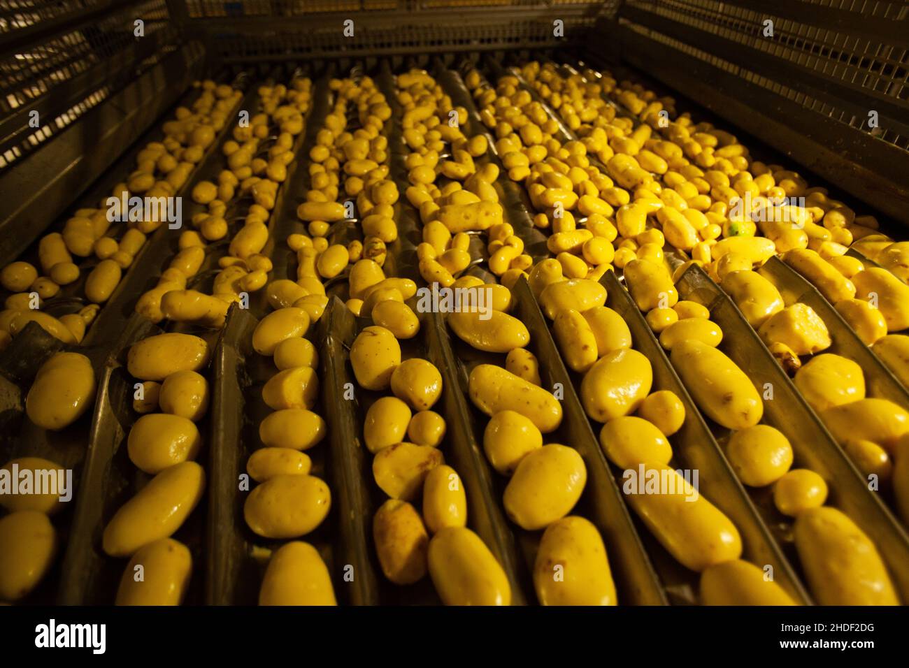 Factory interior. Chips production. Factory equipment, product ...