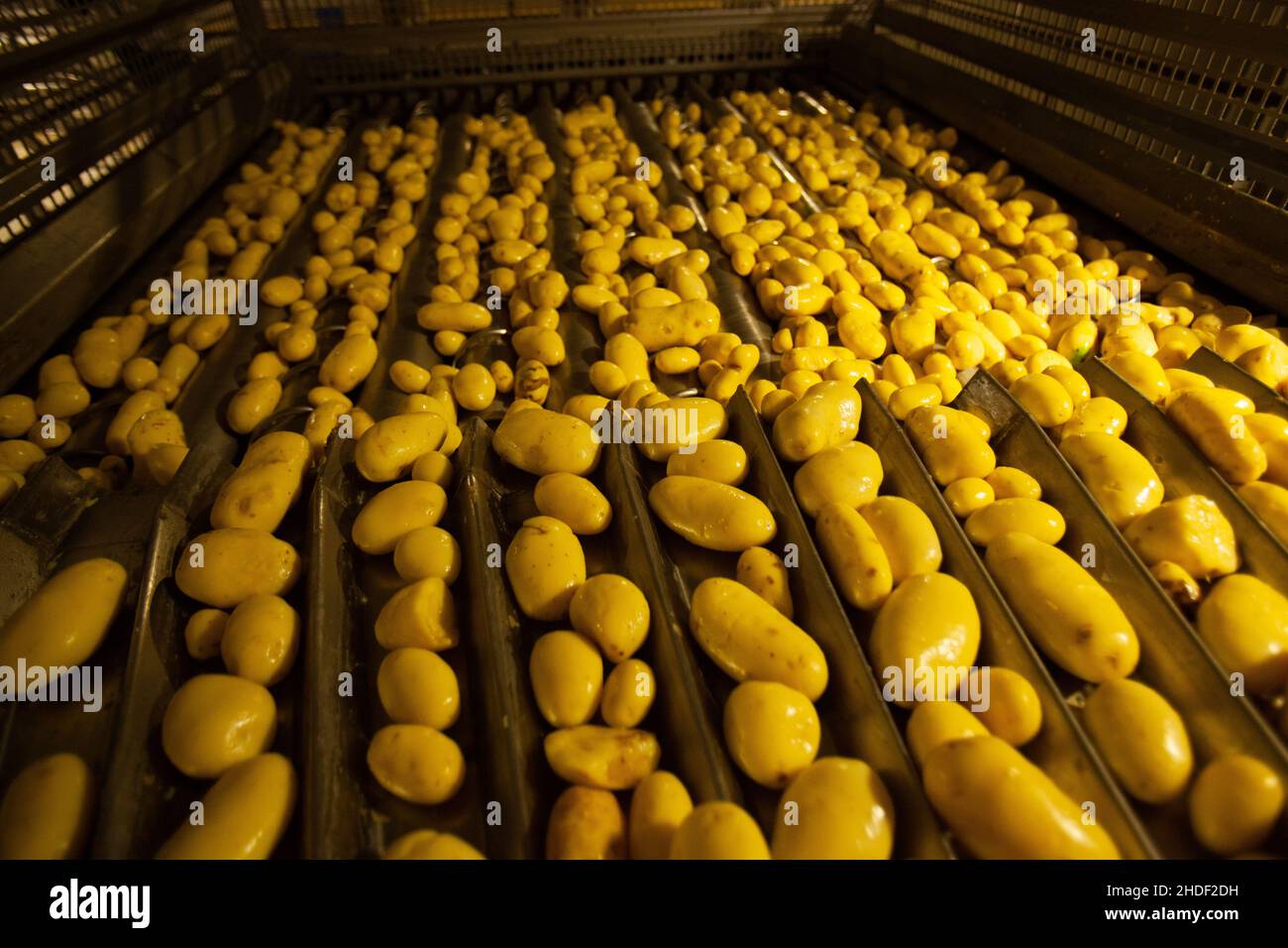 Factory interior. Chips production. Factory equipment, product ...