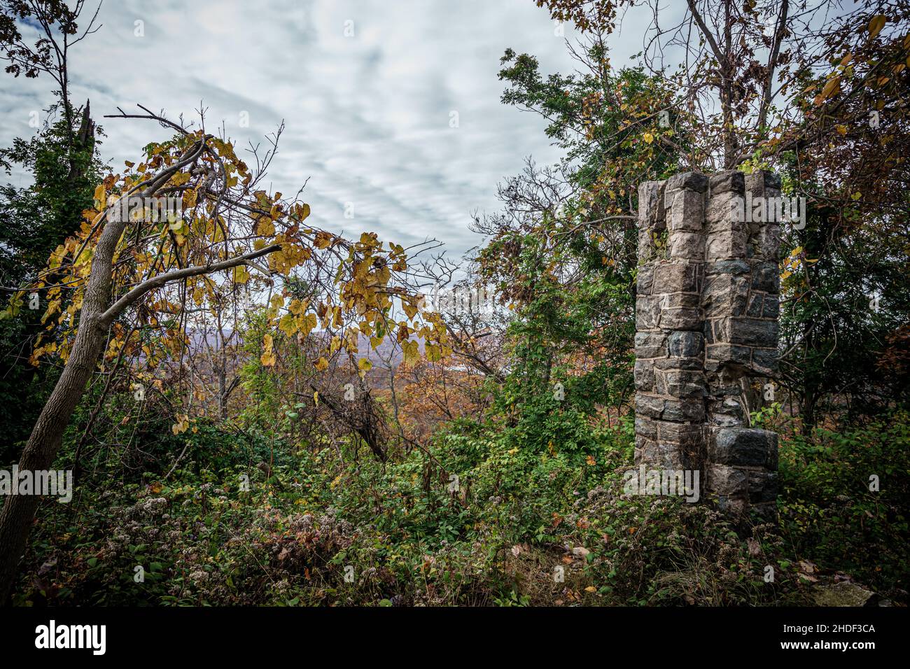 Old abandoned ruin stone building surrounded by greenery Stock Photo ...