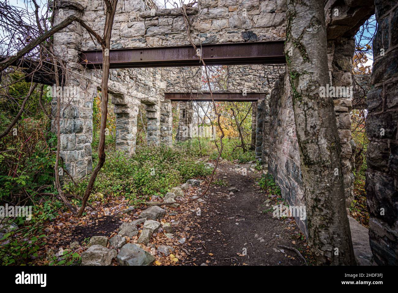 Old abandoned ruin stone building surrounded by trees Stock Photo - Alamy