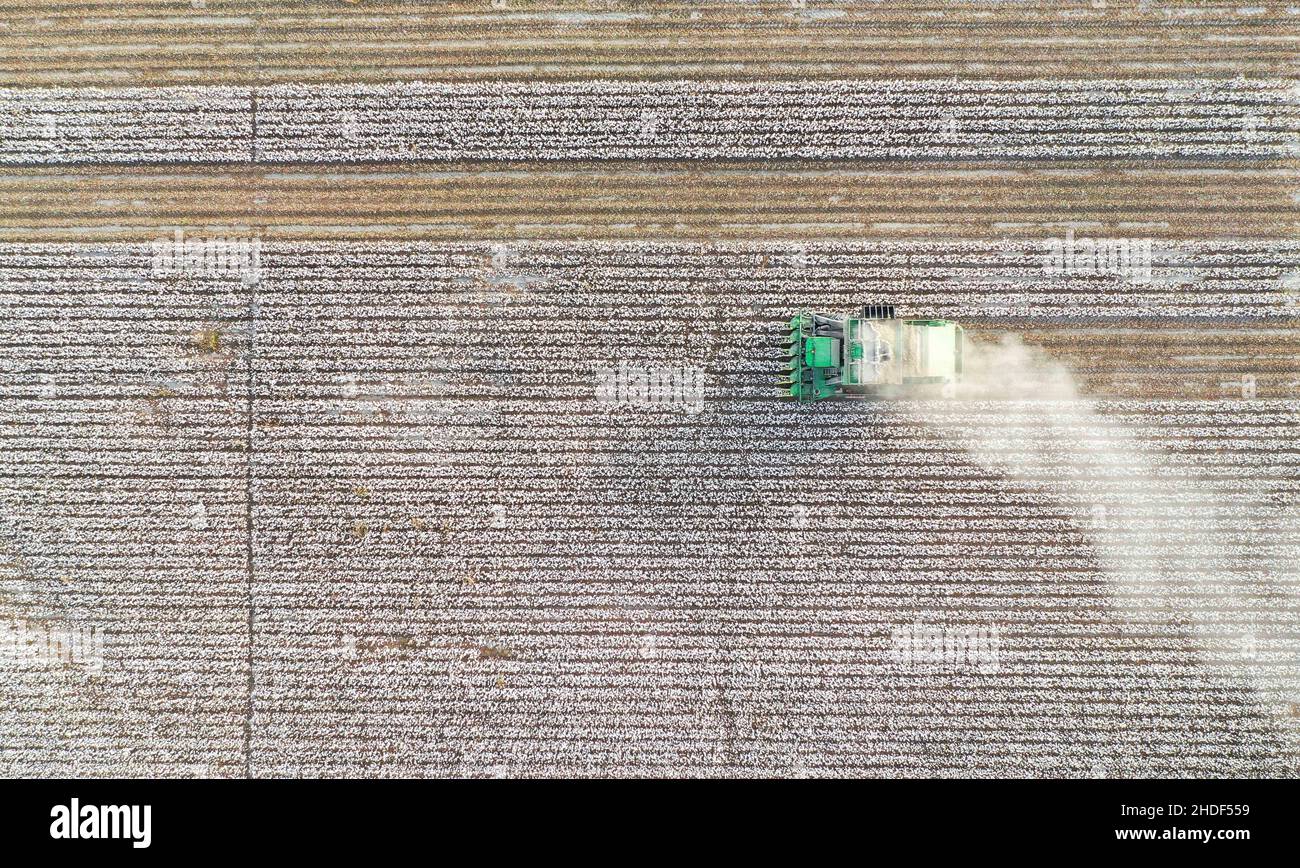 Beijing, China's Xinjiang Uygur Autonomous Region. 24th Oct, 2021. A ...