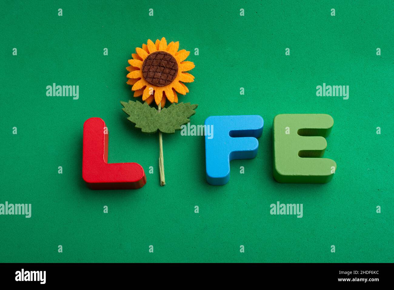 letters, life, wooden letters, letter, lifes, living, wooden letter ...