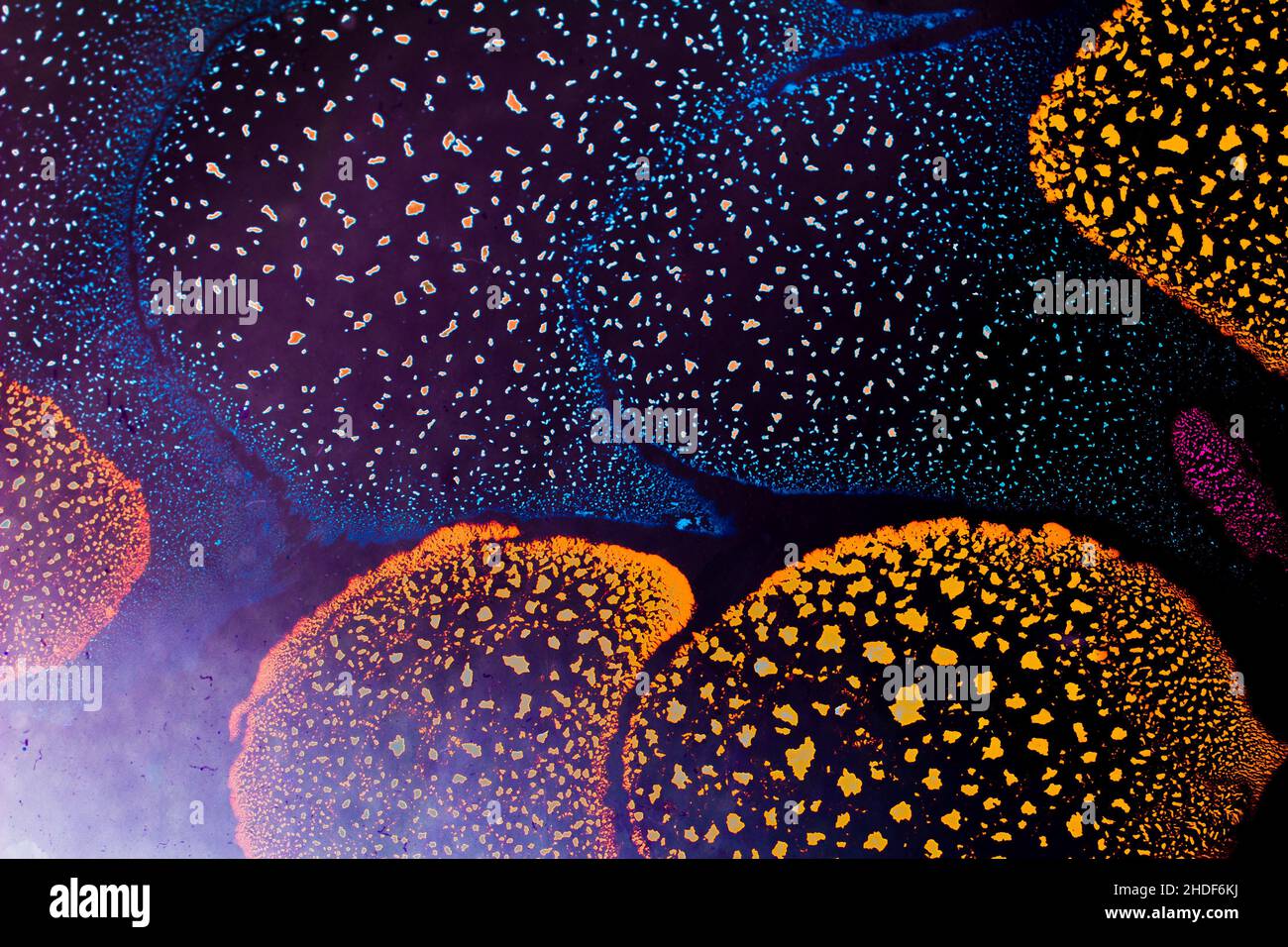 structure, microscopic, emulsion, structures Stock Photo - Alamy