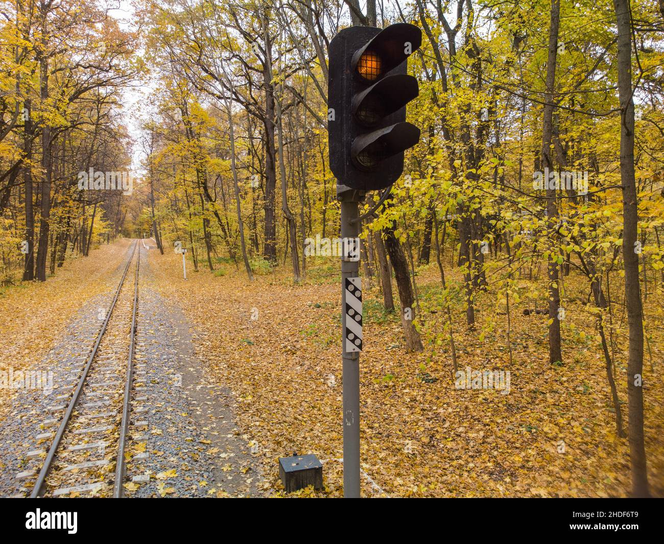 Train traffic light near railway track line in bright yellow leaves in ...