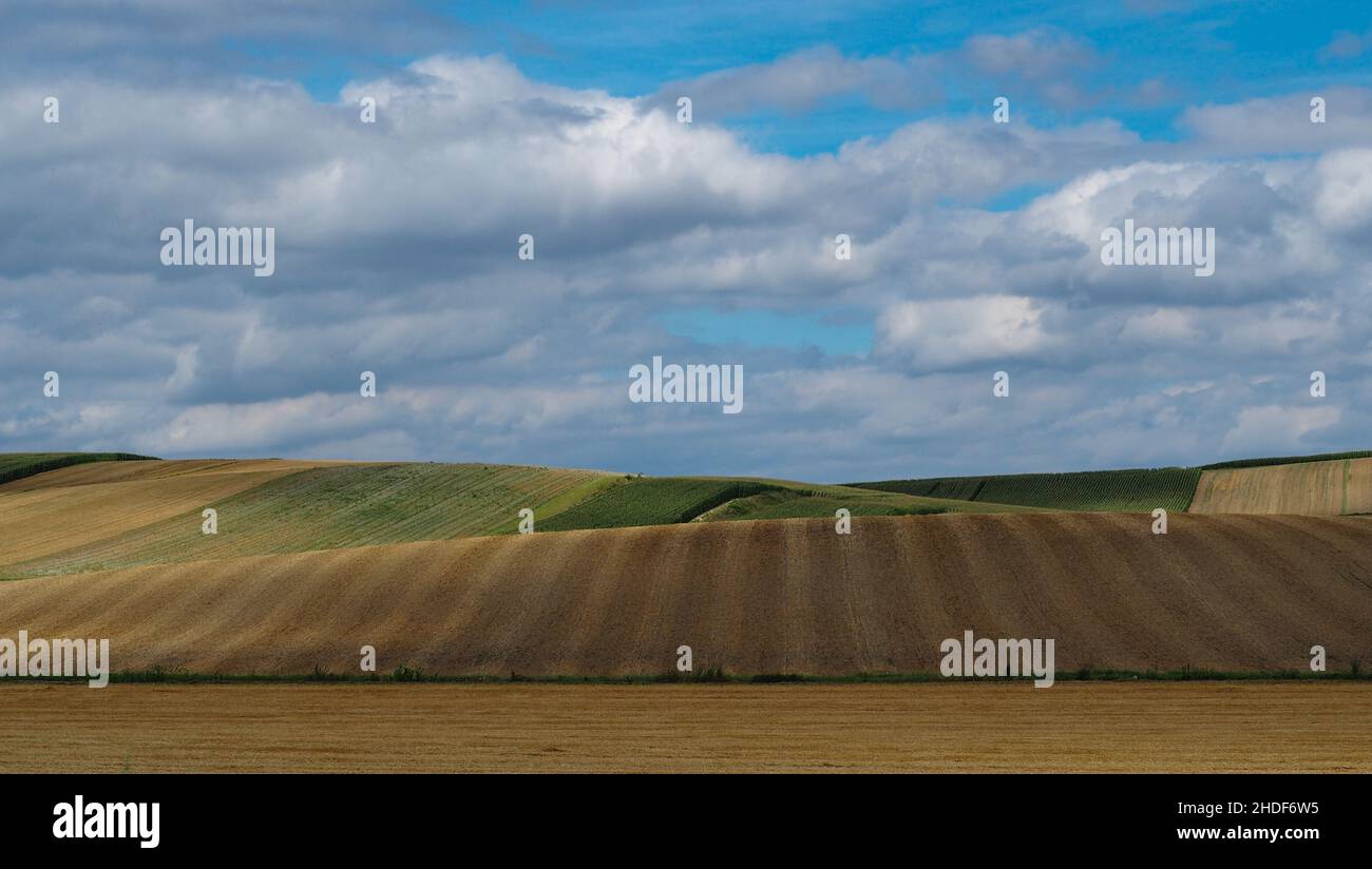 arable, cultural landscape, arables, cultural landscapes, landscape ...