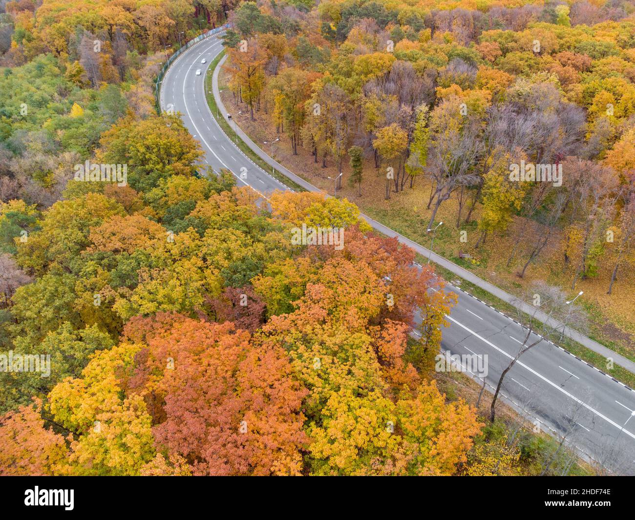 Aerial driveway street in autumn city park. Fly above scenic empty road ...