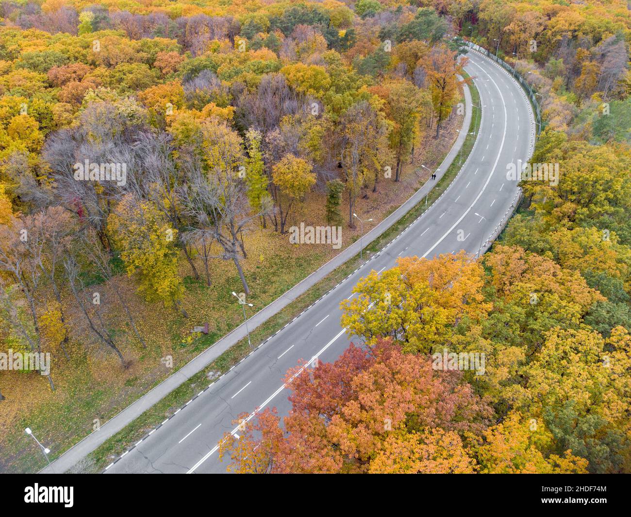 Fly above driveway street in autumn city park. Aerial on scenic empty ...