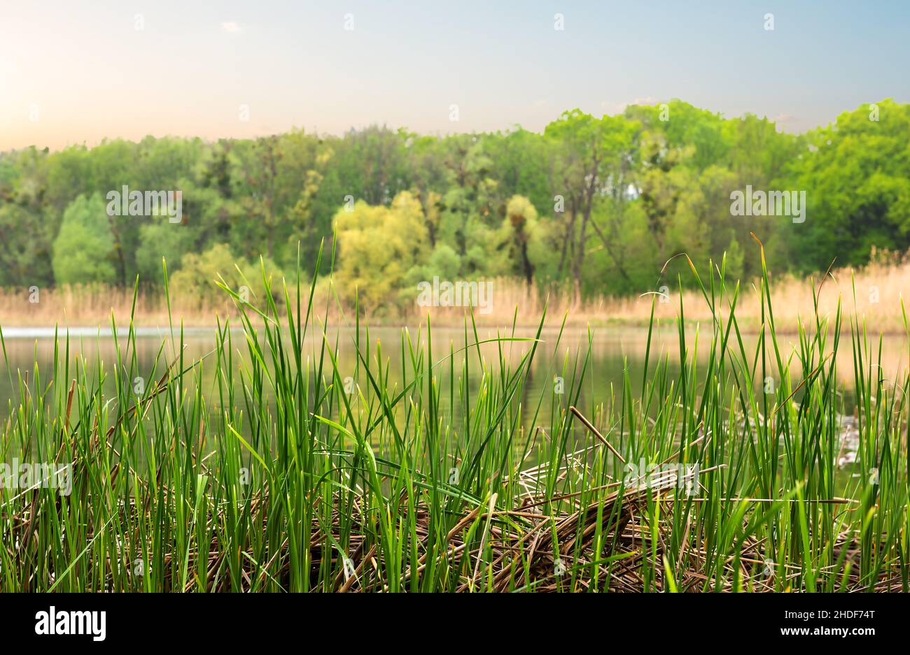 lake, silence, shore, lakes, silences, shores Stock Photo - Alamy