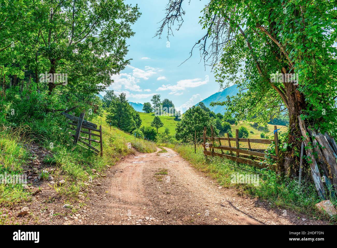 footpath, rural scene, footpaths, country, country life, rural, rural ...