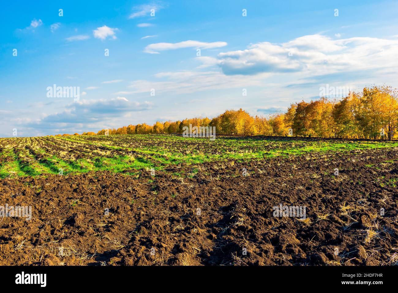 Arables hi-res stock photography and images - Alamy