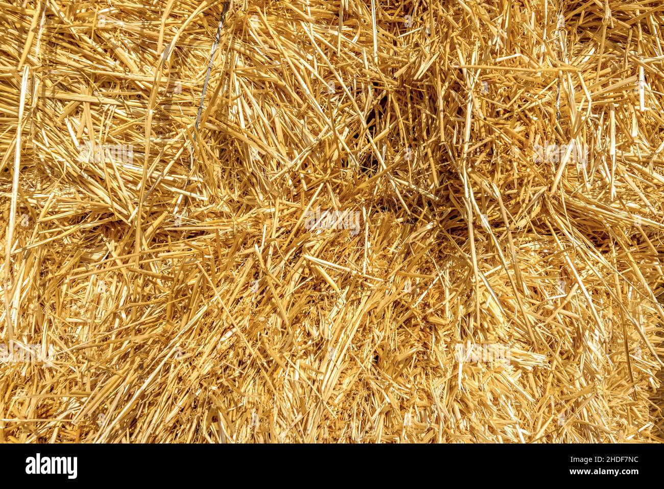 structure, straw, structures, straws Stock Photo - Alamy