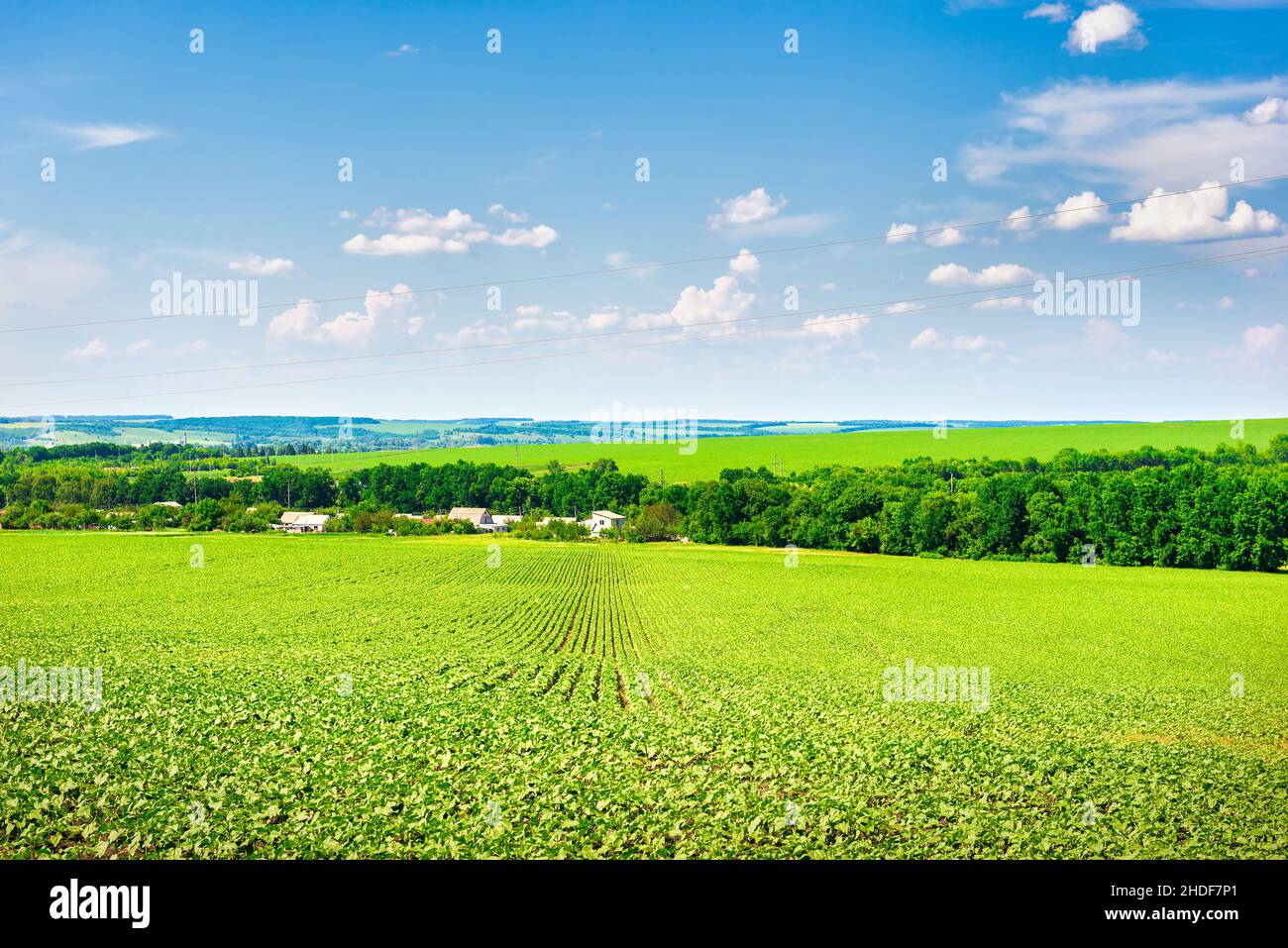 arable, spring, arables Stock Photo - Alamy