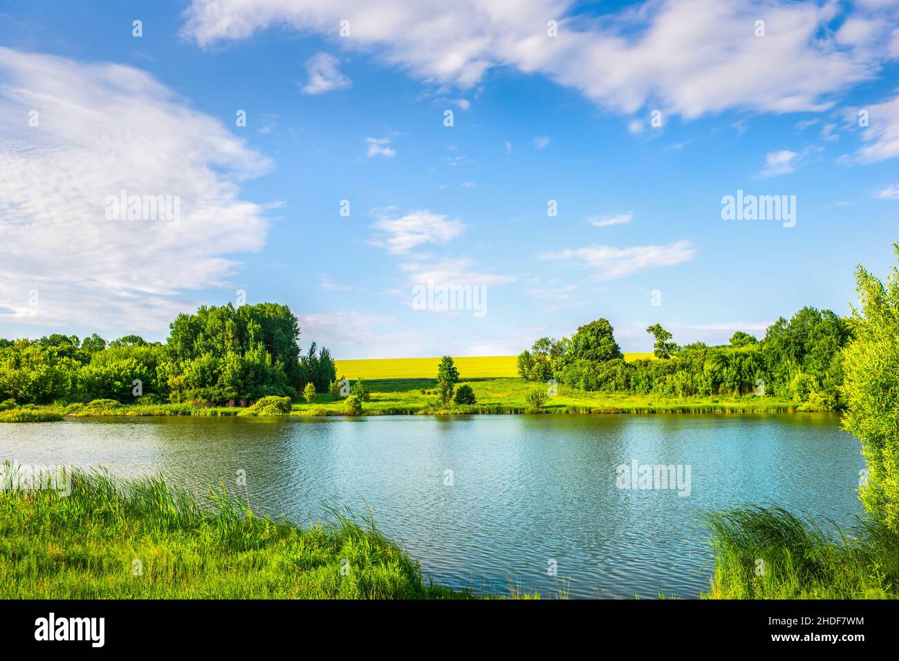 lake, summer, lakes, summers Stock Photo - Alamy