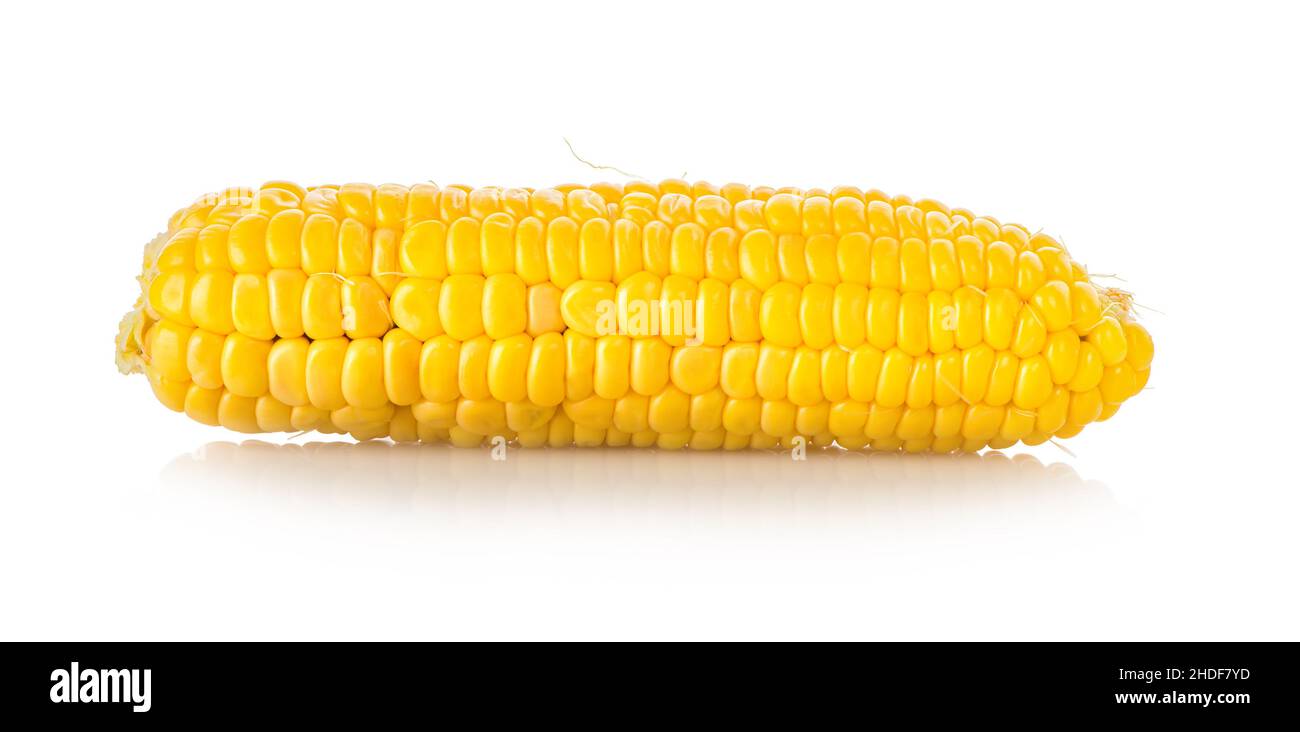 maize cob, maize, corn on the cobs, corn crops Stock Photo - Alamy