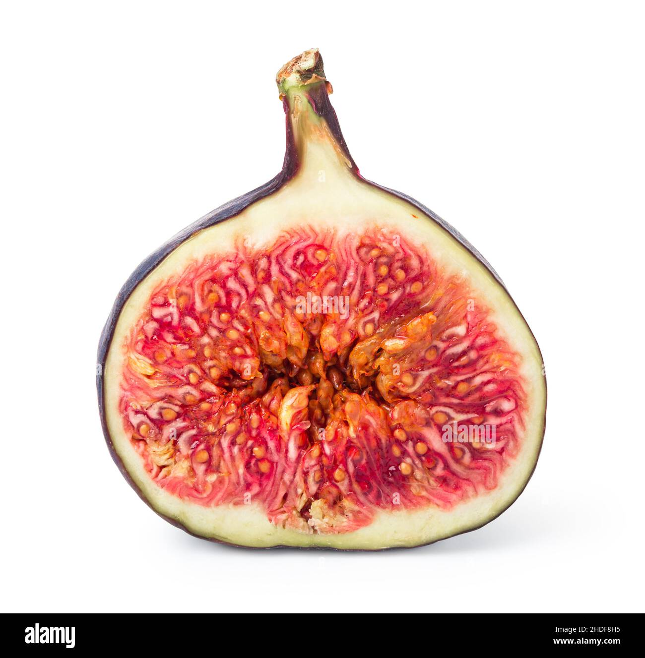 Fig flesh Cut Out Stock Images & Pictures - Alamy