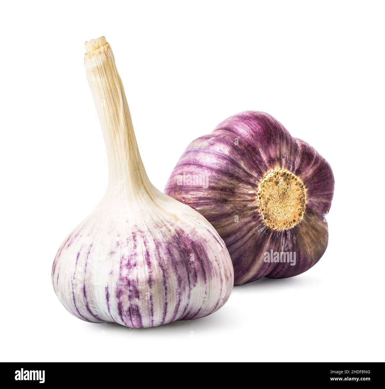 Two garlics hi-res stock photography and images - Alamy