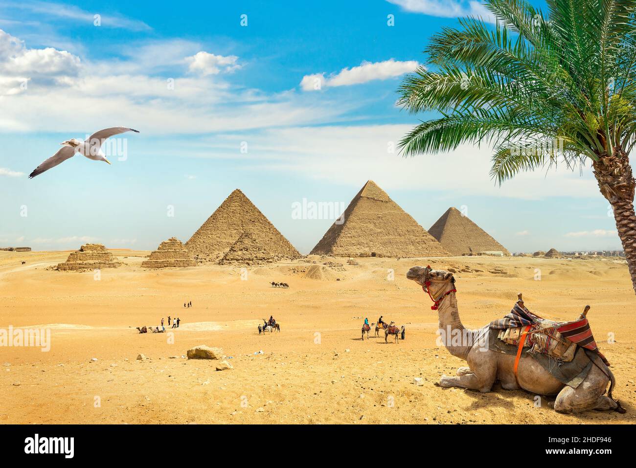 desert, egypt, pyramids, camel, deserts, wüste, egyptian, egypts ...