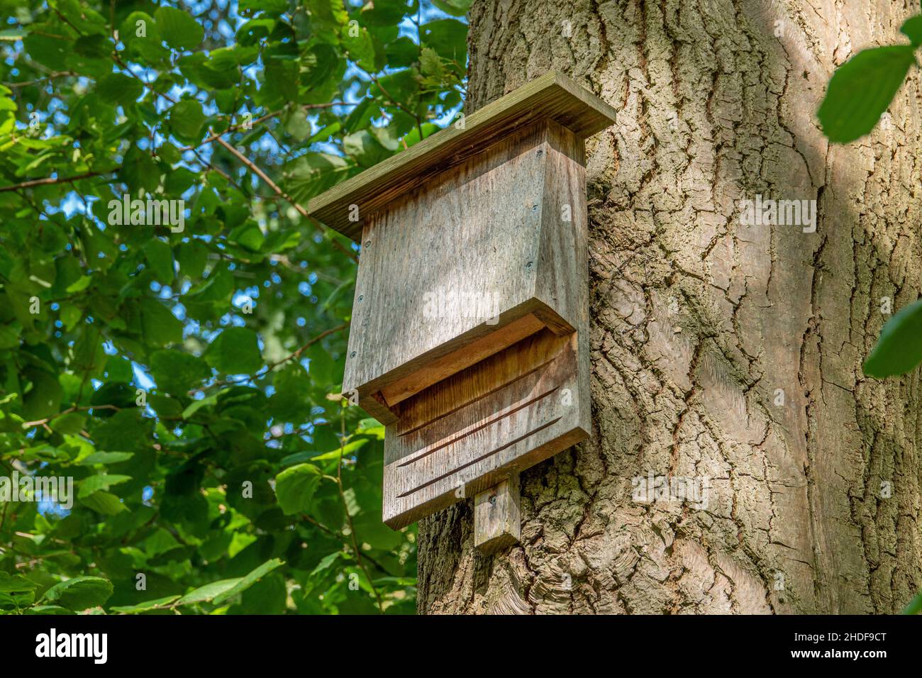 nesting box, birdhouse, insect nest, nesting boxs, birdhouses, insect ...
