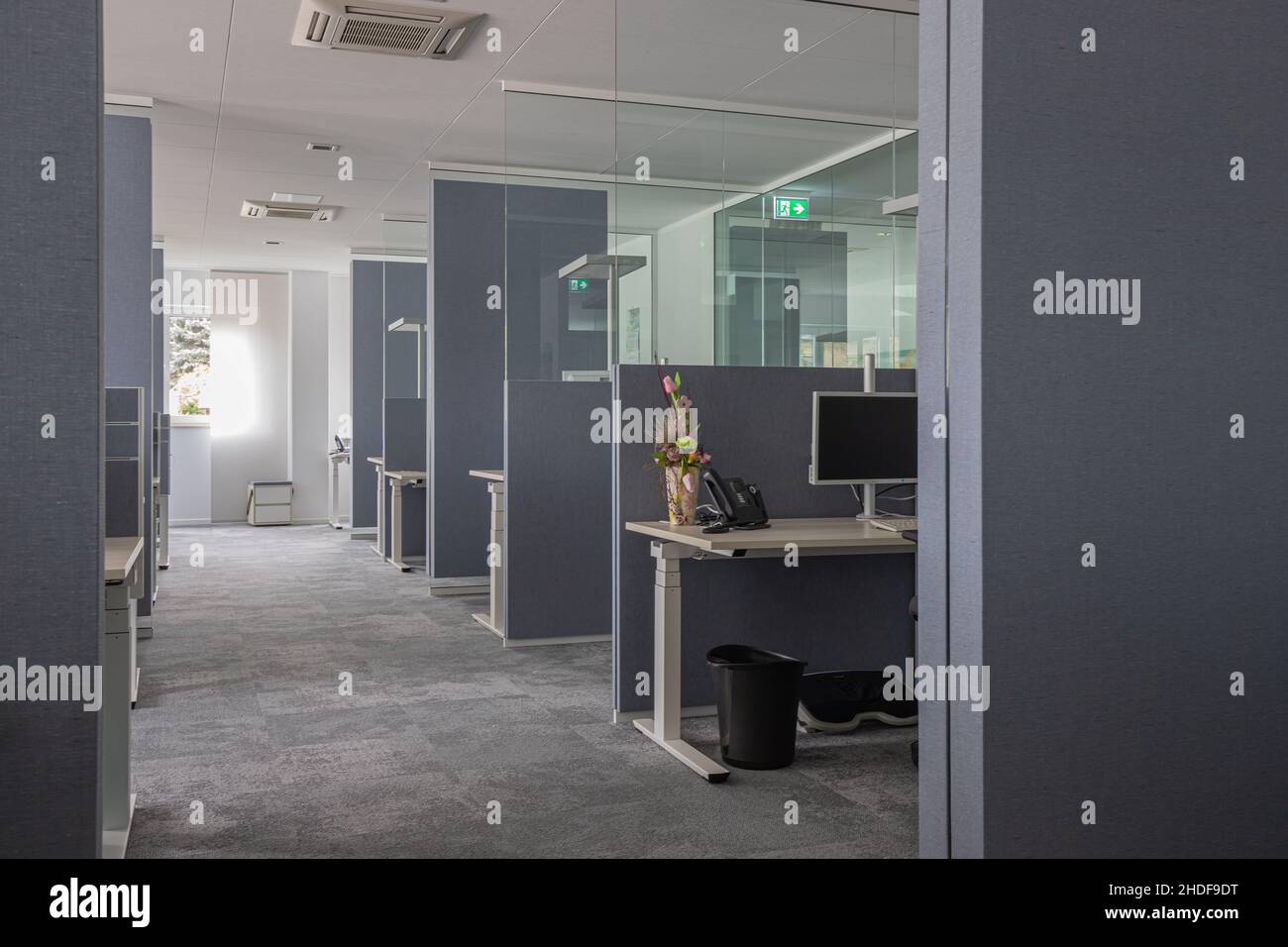 office, open plan office, computer workstation, offices, computer ...