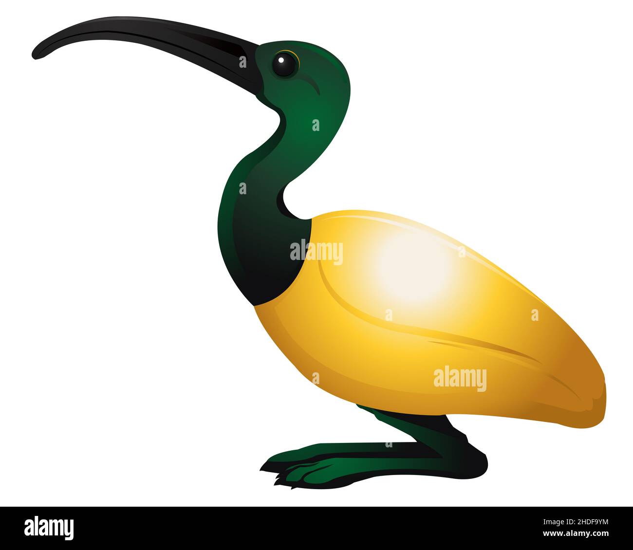 Ibis illustration hi-res stock photography and images - Alamy