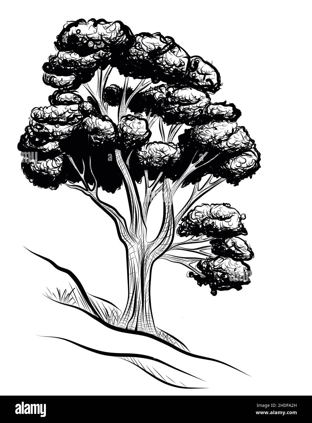 drawing, tree, drawings, trees Stock Photo - Alamy