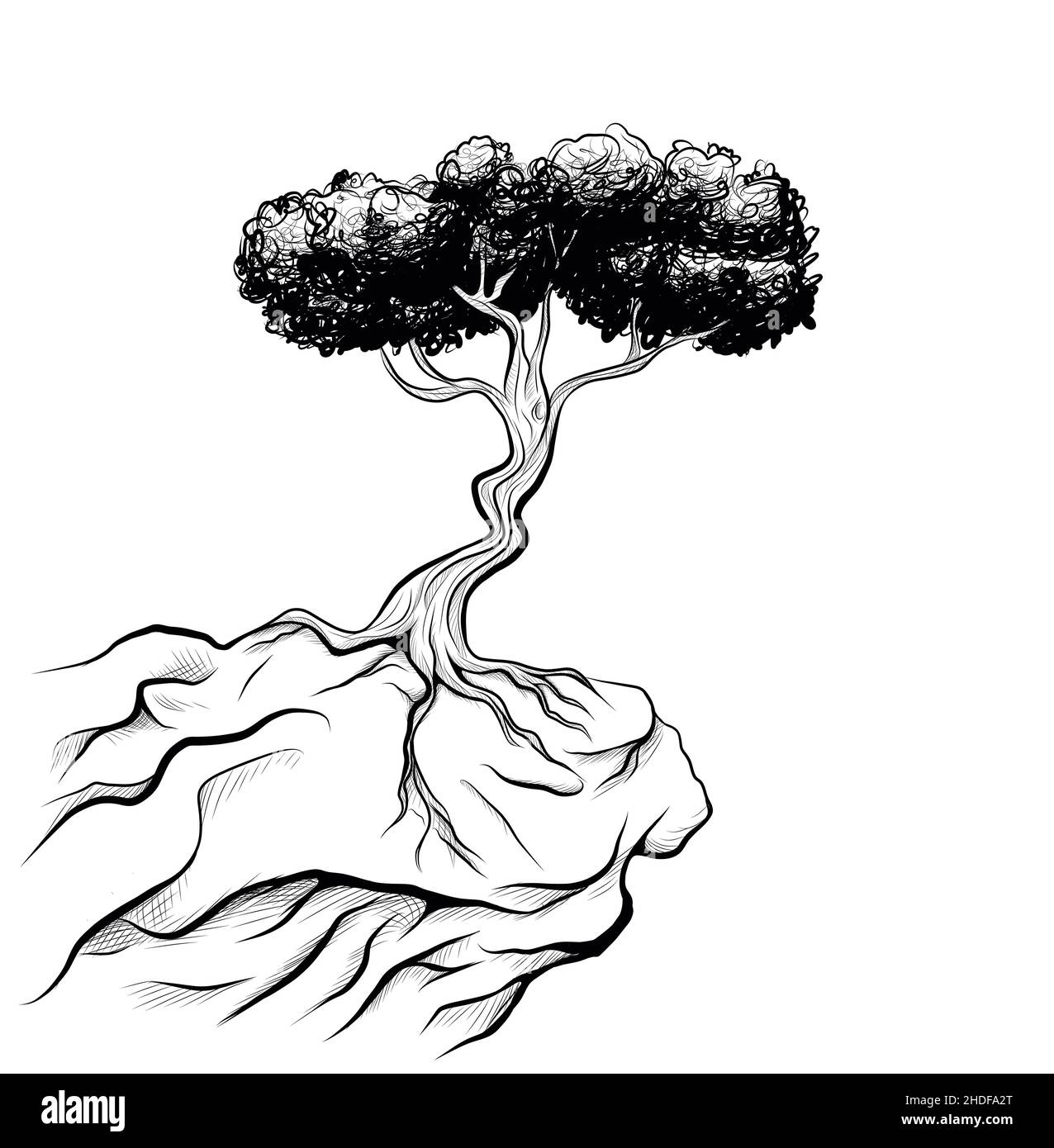 Tree drawing with roots hi-res stock photography and images - Alamy
