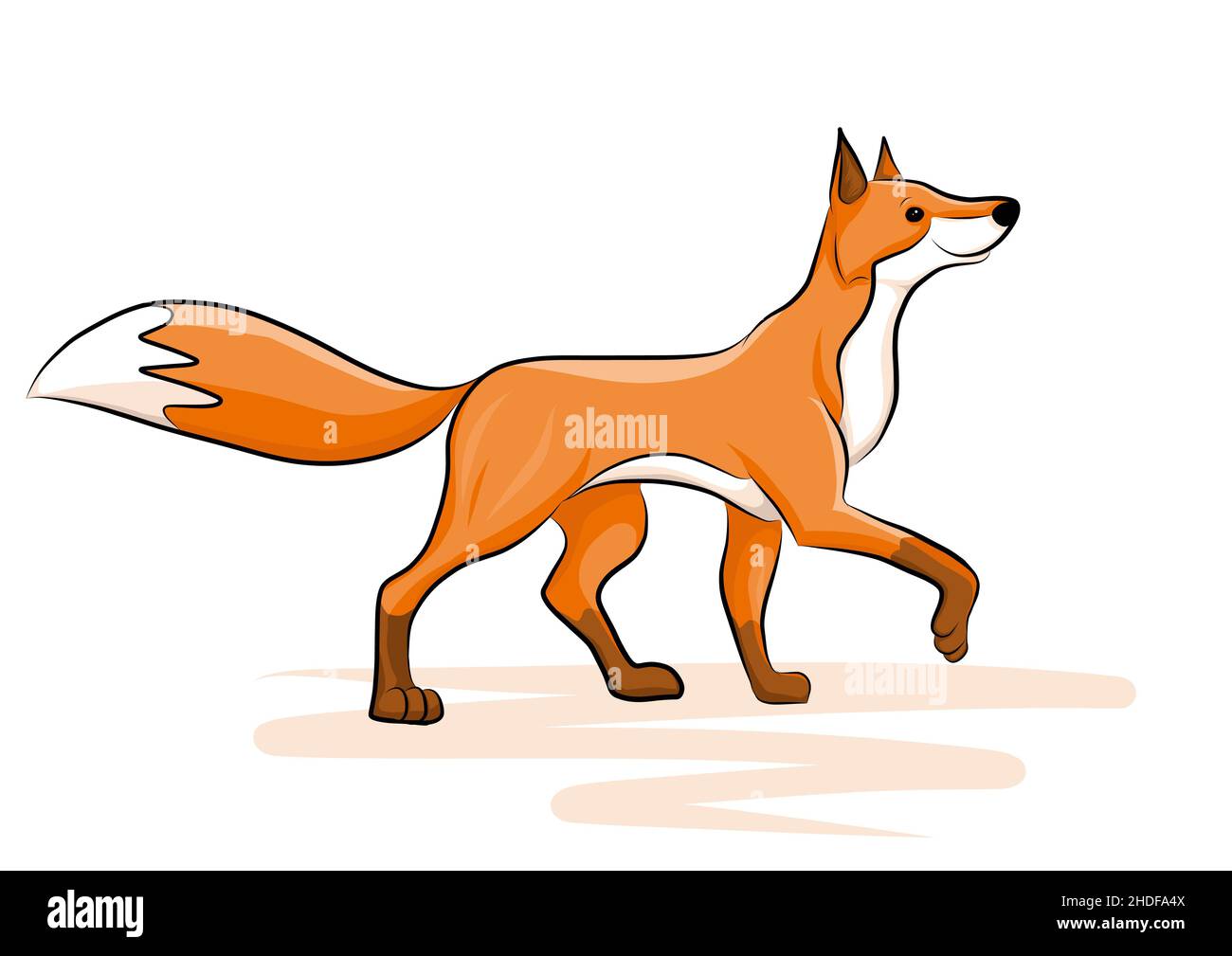 drawing, fox, comic, drawings, foxs, cartoon, cartoons, comic books ...