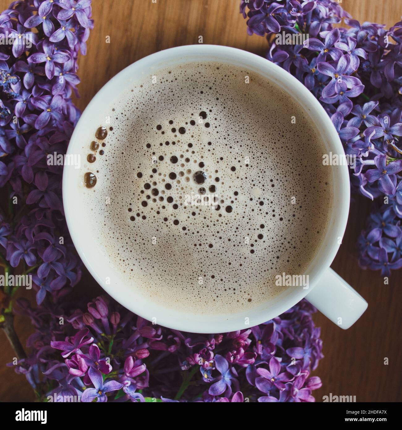 coffee, latte, cappuccino, coffees, lattes, cappuccinos, cappucino ...