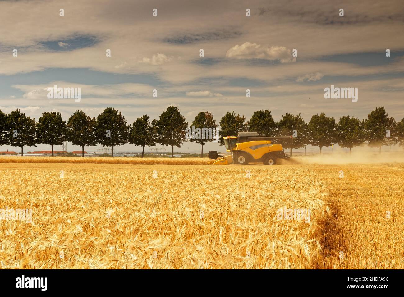 combine, grain harvest, harvester, combines, grain harvests, harvesters ...