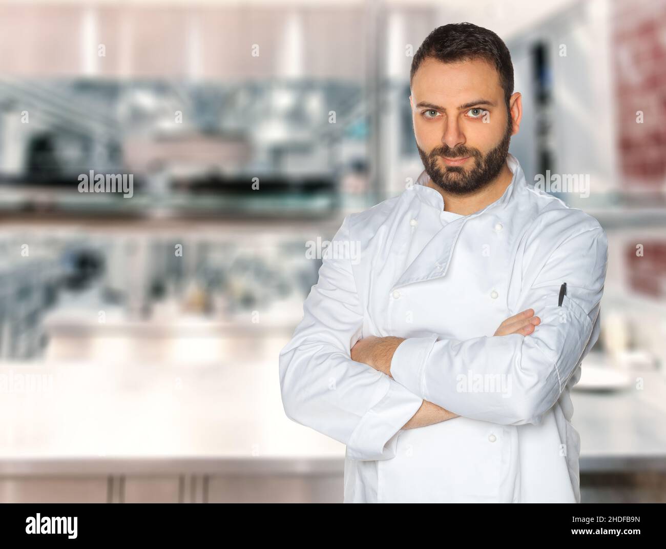 gastronomy, self confident, cook, gastronomies, self confidents, cooks ...