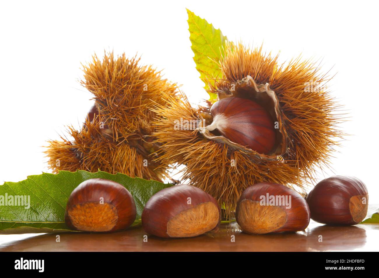 chestnuts, nut fruit, chestnut, nuts Stock Photo - Alamy
