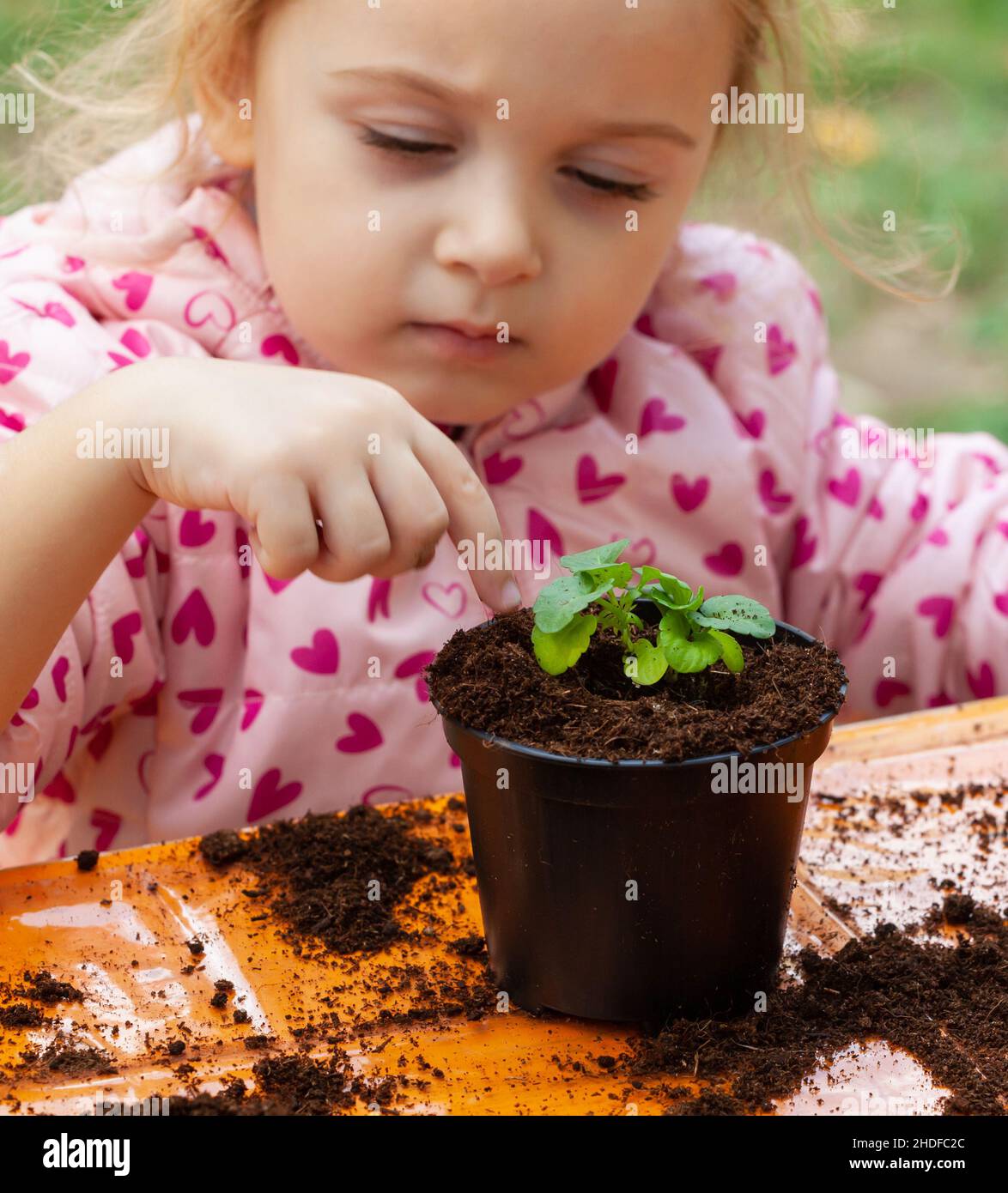 childhood, gardening, planting, childhoods, children, kid, kids, plant ...