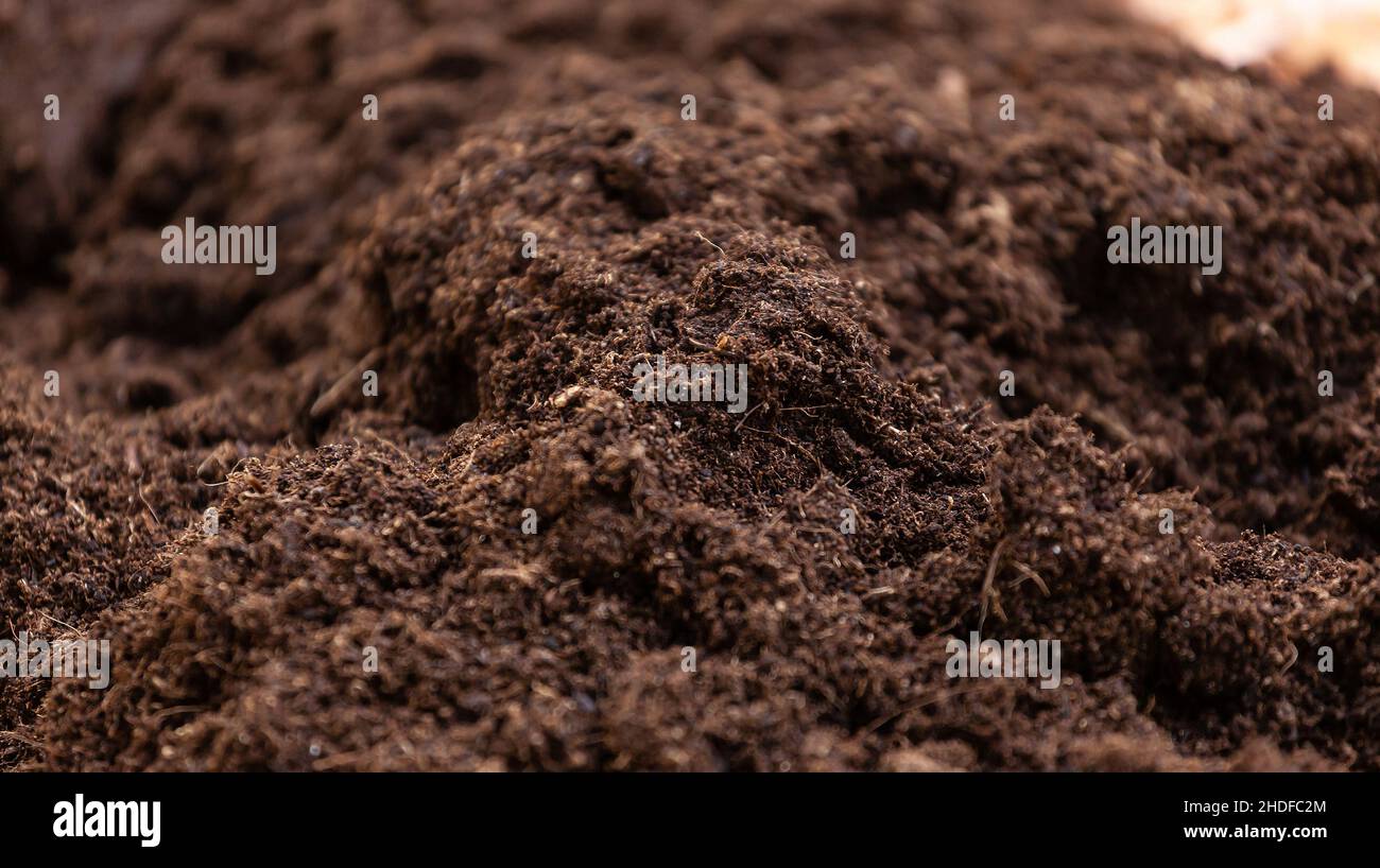 soil, topsoil, soils, top soil, topsoils Stock Photo - Alamy