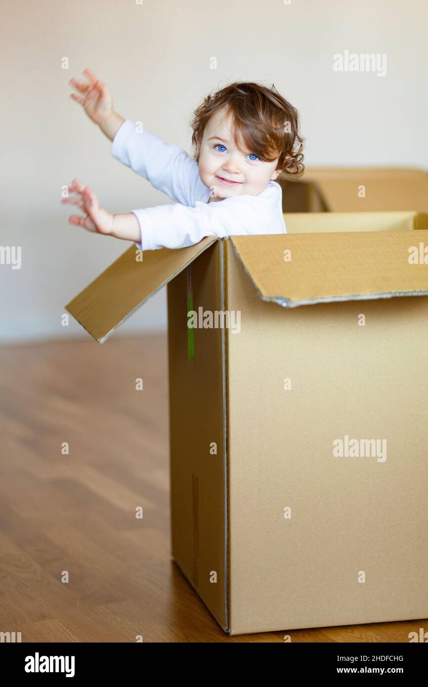 toddler, playing, carton, infant, infants, toddlers, play, cartons ...