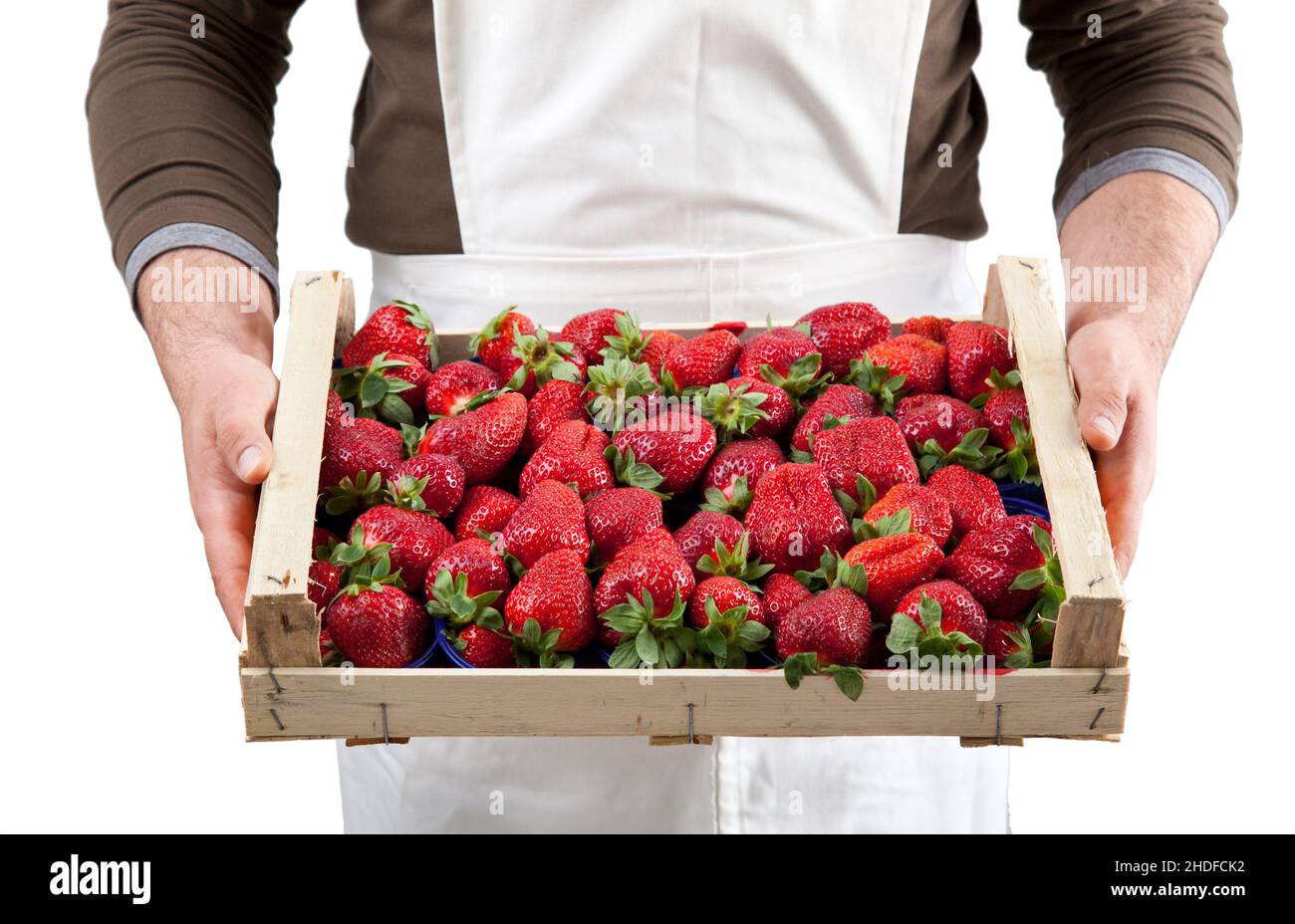 Male hands holding strawberries hi-res stock photography and images - Alamy
