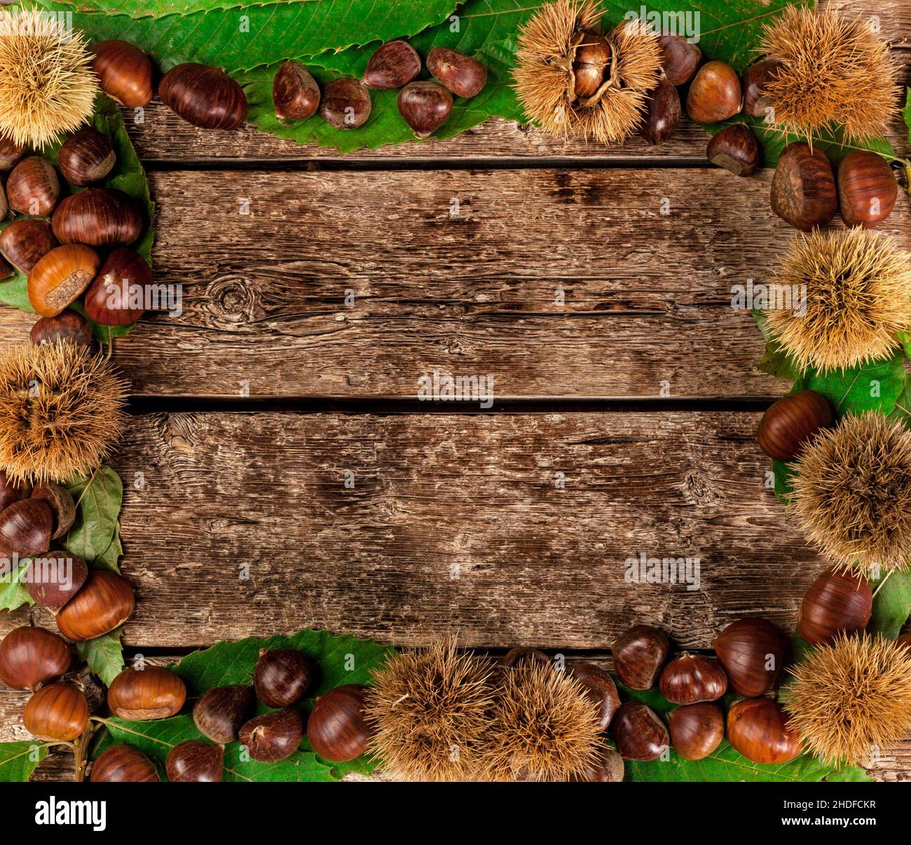 copy space, frame, chestnuts, wood ground, copyspace, frames, chestnut ...
