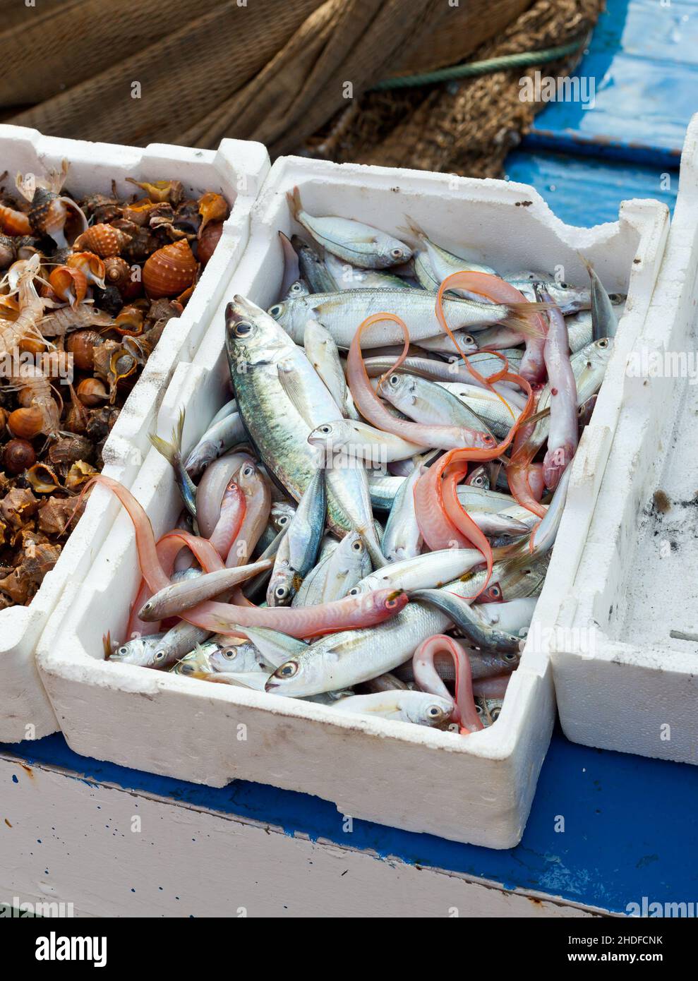 fish market, market stall, cod, fish markets, market stalls, cods Stock ...