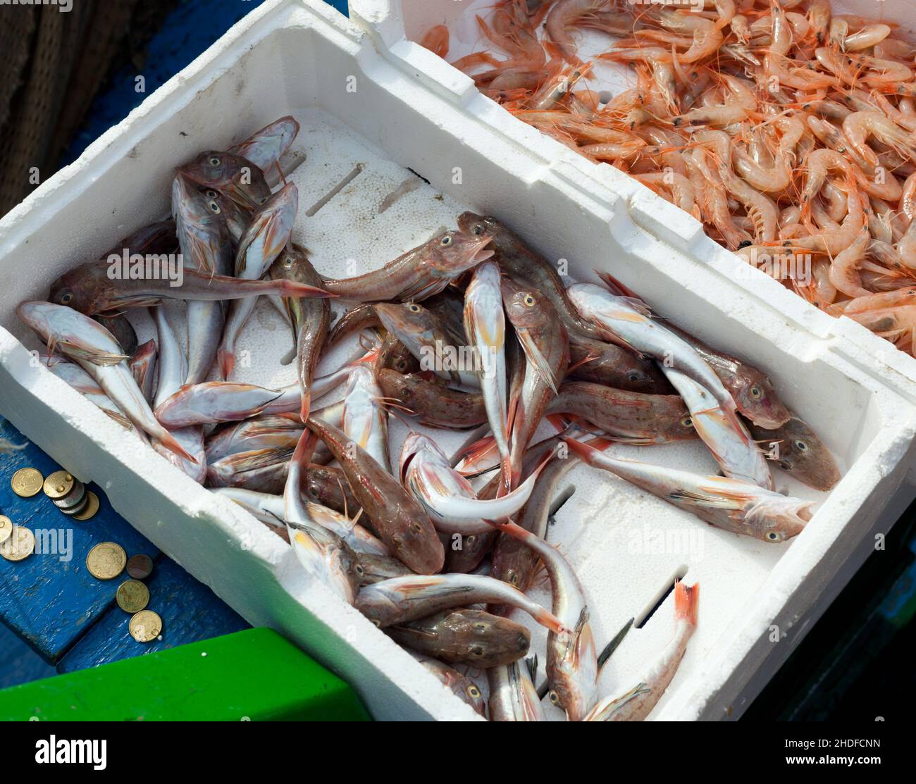 market stall, cod, market stalls, cods Stock Photo - Alamy