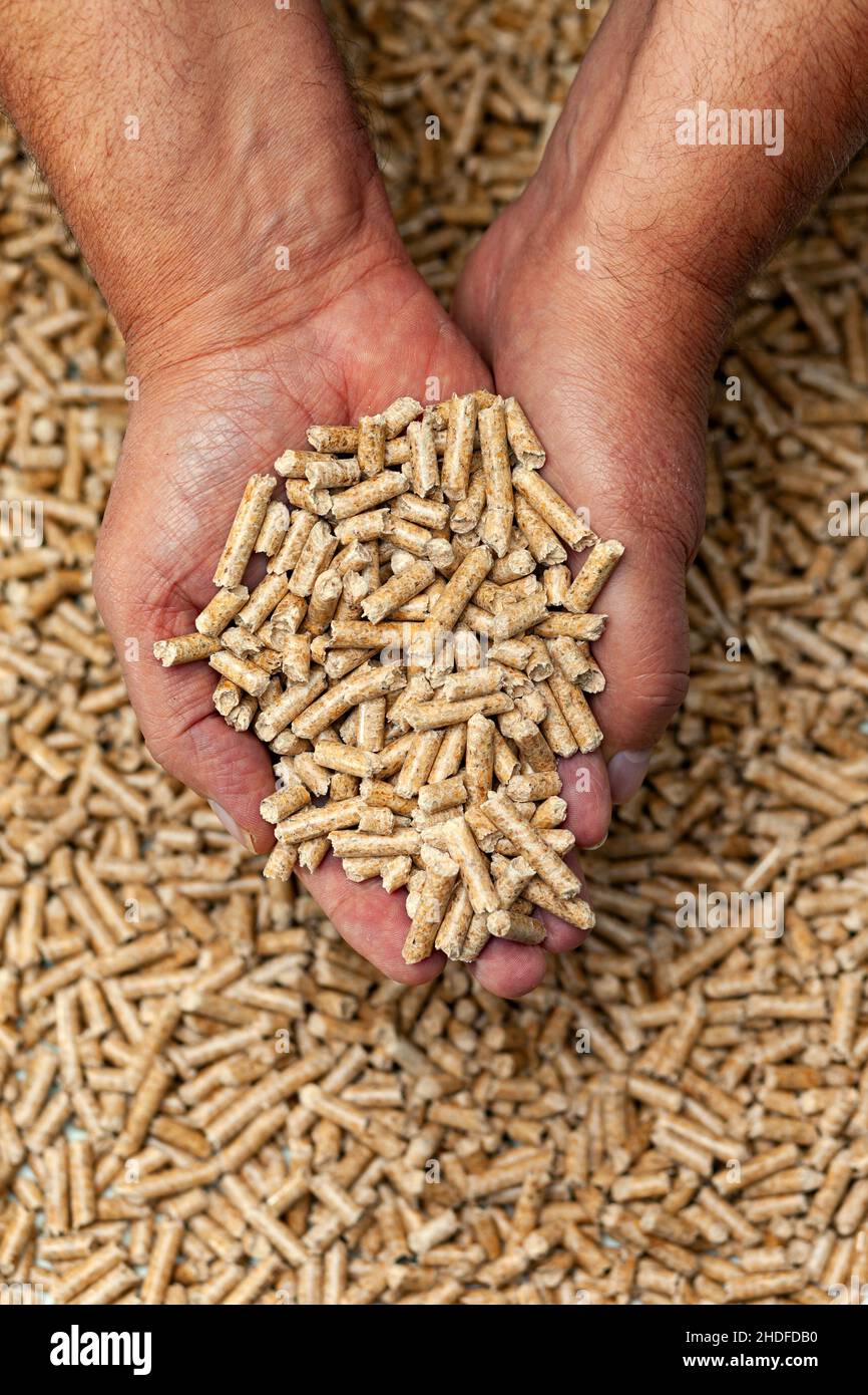 pellets, wooden pellets, pellet, wood pellet Stock Photo - Alamy