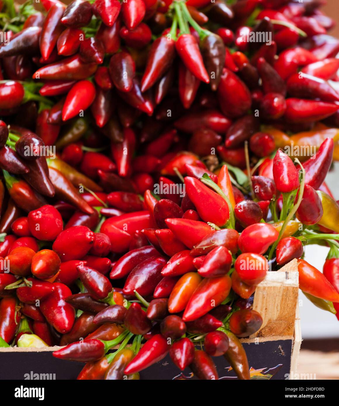 Bundles hi-res stock photography and images - Alamy