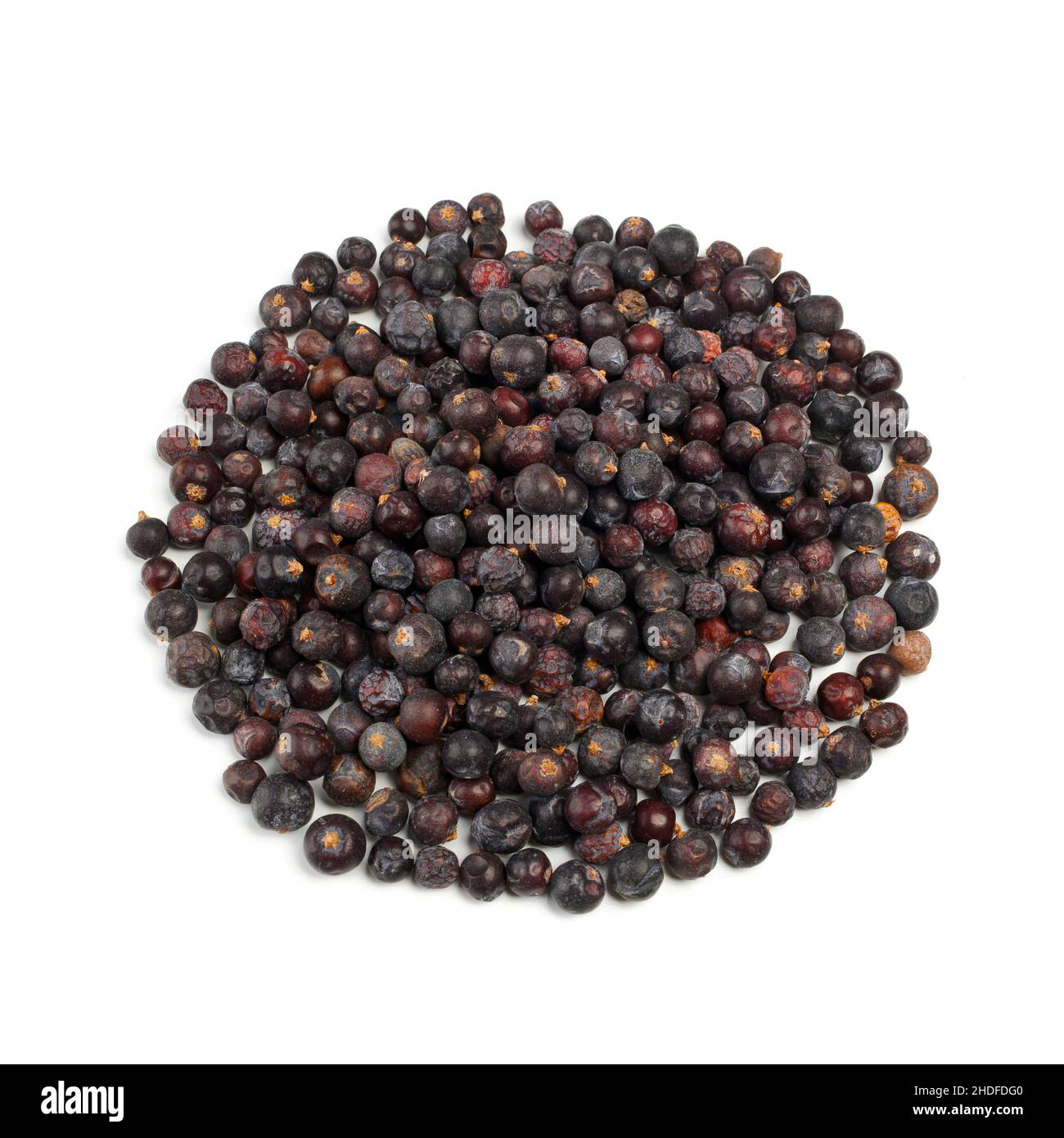 Juniper square hi-res stock photography and images - Alamy