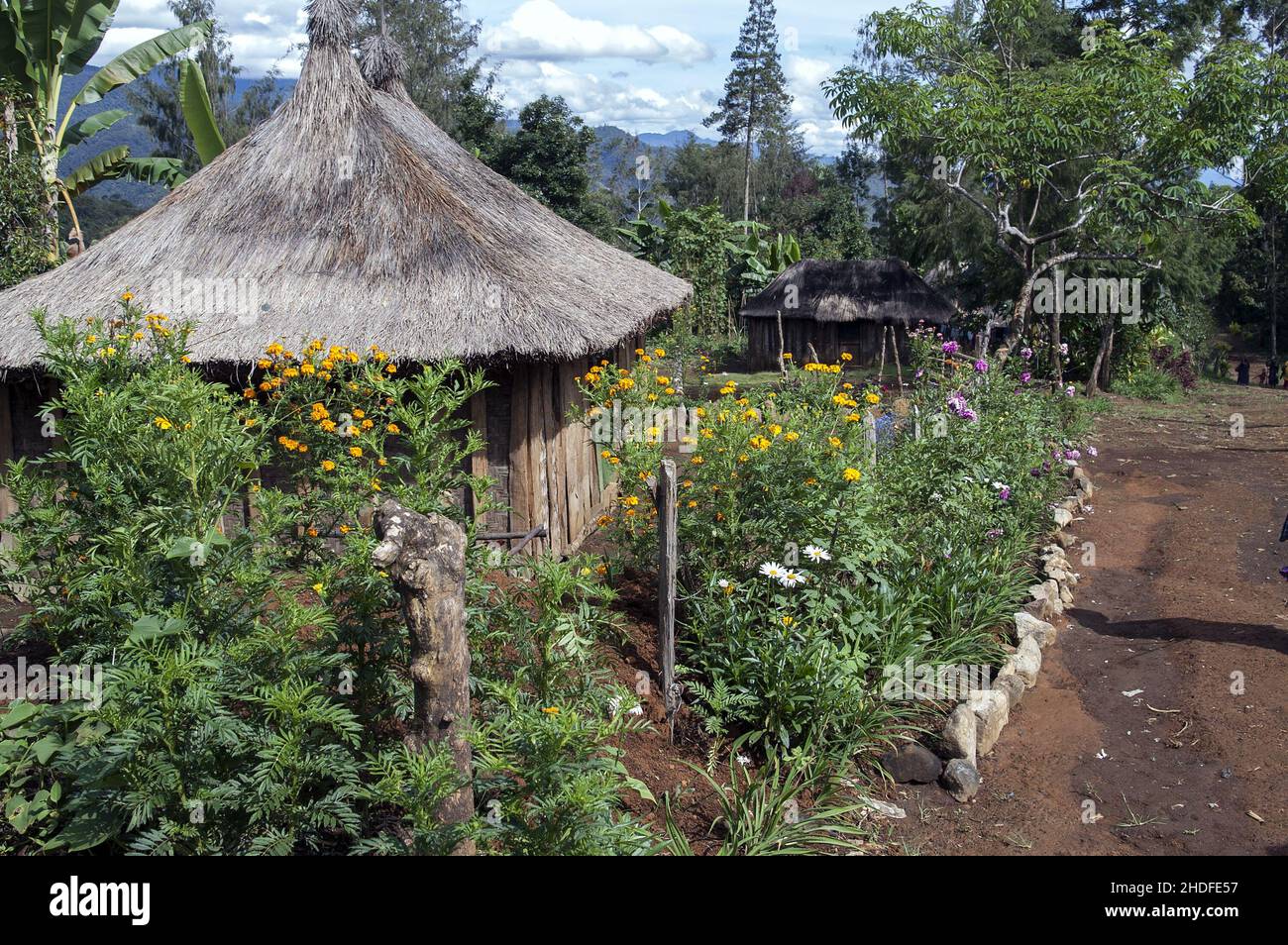 Papua new guinea highlands village hi-res stock photography and images ...