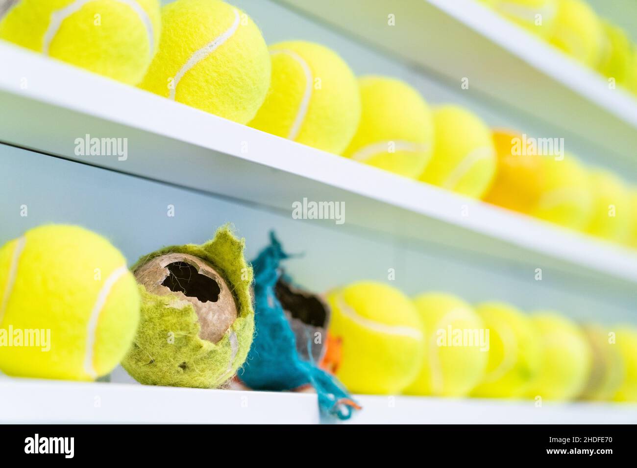 General view of some of the 12,000 tennis balls comprising 'Mayfair ...