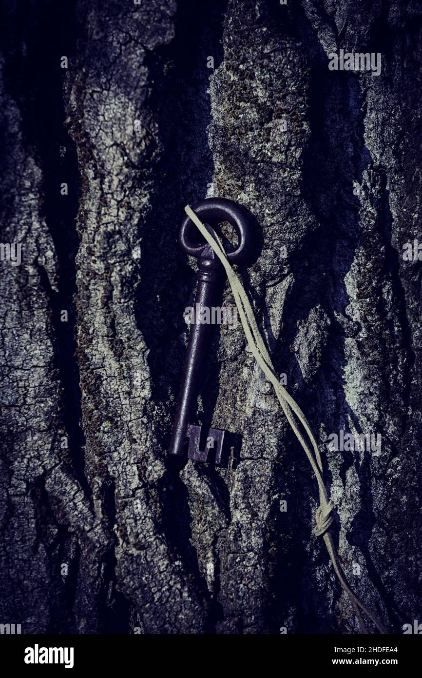 Natures secrets hi-res stock photography and images - Alamy