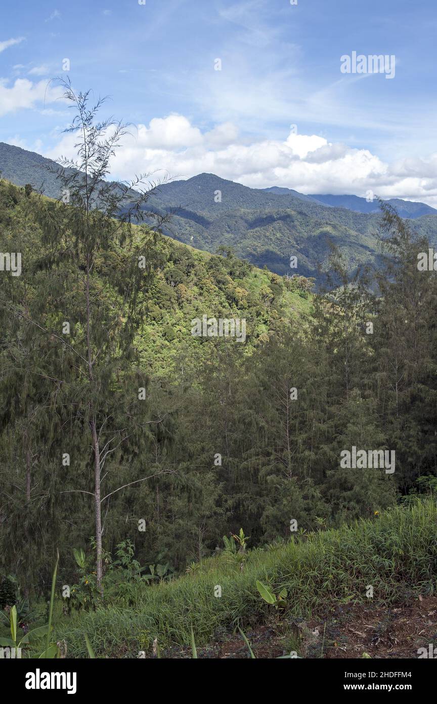 Papua New Guinea; Eastern Highlands; Goroka; Namta (Mefenga); Typical ...