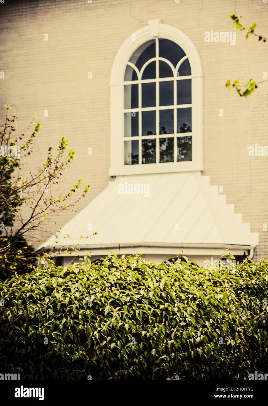 Vertical shot of glass window building behind the bushes outdoors Stock ...