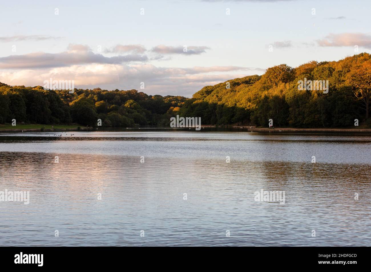 LEEDS, UK - 2 OCTOBER 2019. Roundhay Park Leeds, view across Waterloo ...